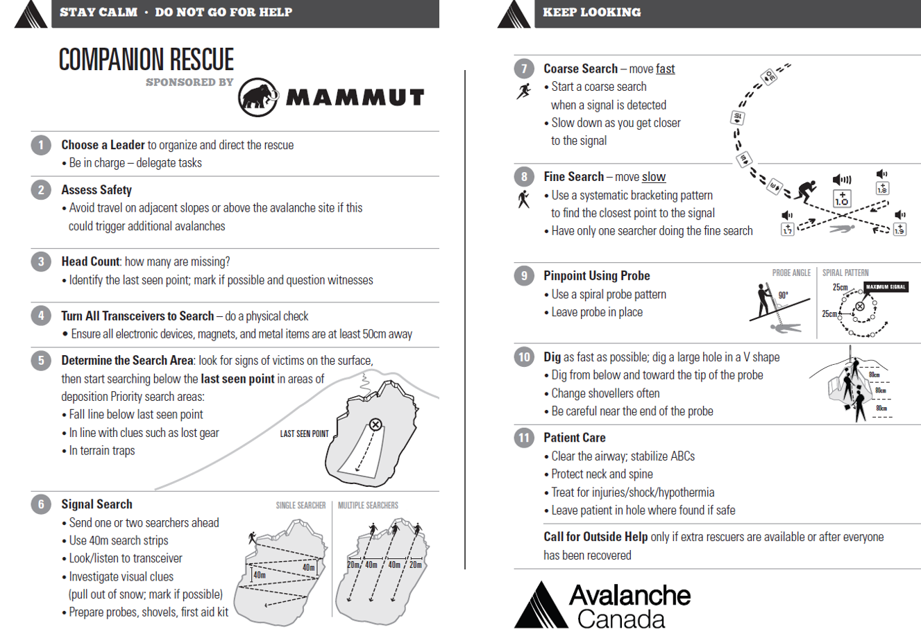 Companion rescue card - Avalanche Québec